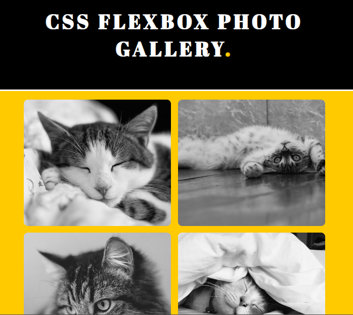 GitHub - asad-sharif/CSS-Flexbox: CSS Flexbox Photo Gallery