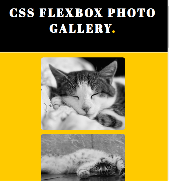 GitHub - asad-sharif/CSS-Flexbox: CSS Flexbox Photo Gallery