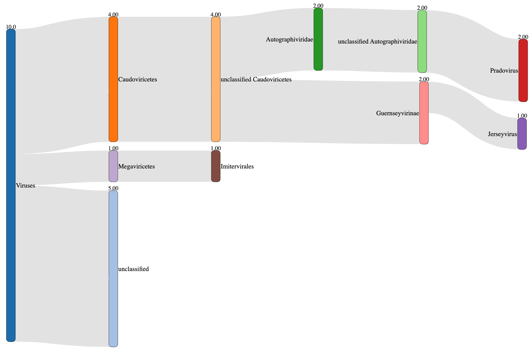Fix sankey plot visualization for undefined ranks · Issue #109 · EBI-Metagenomics/emg-viral ...