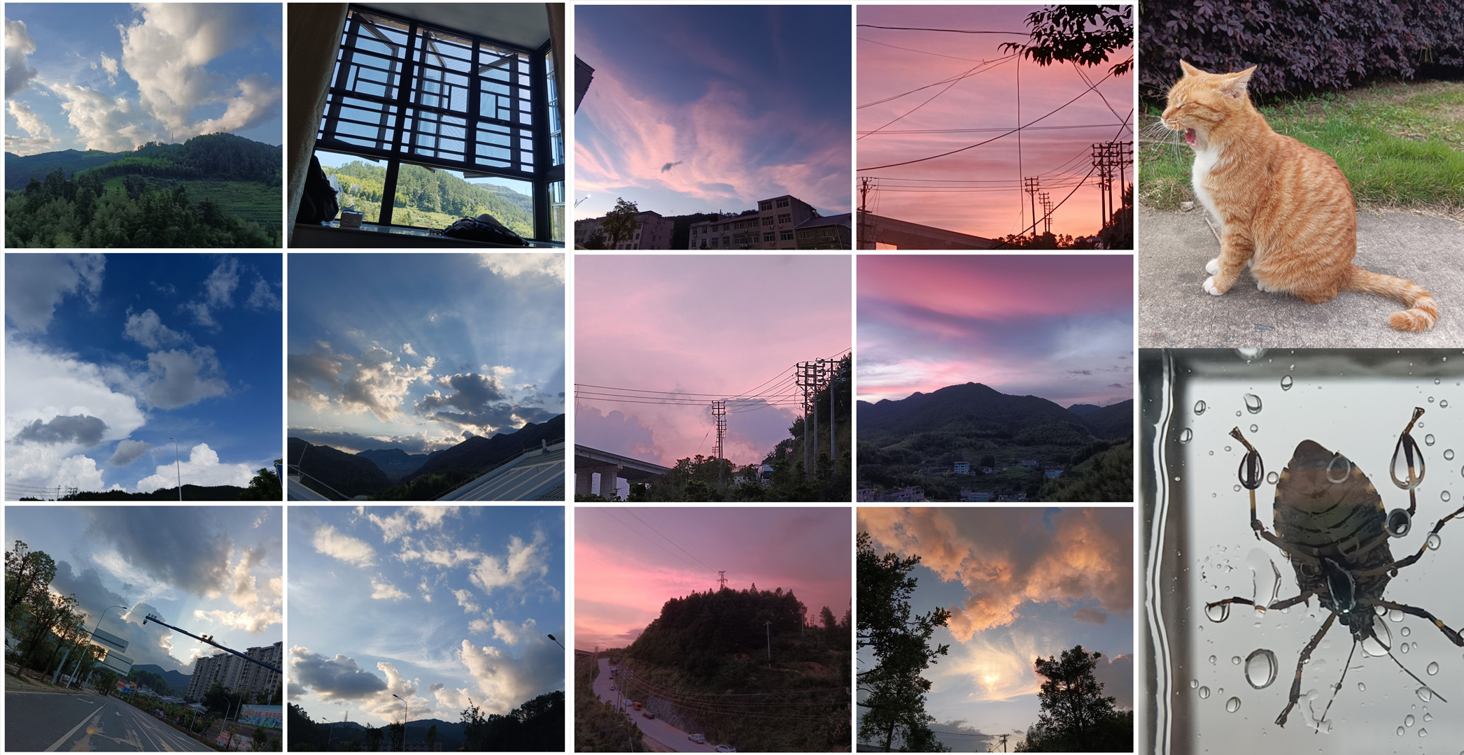 shoppingaaa (Xiaoping Li) · GitHub