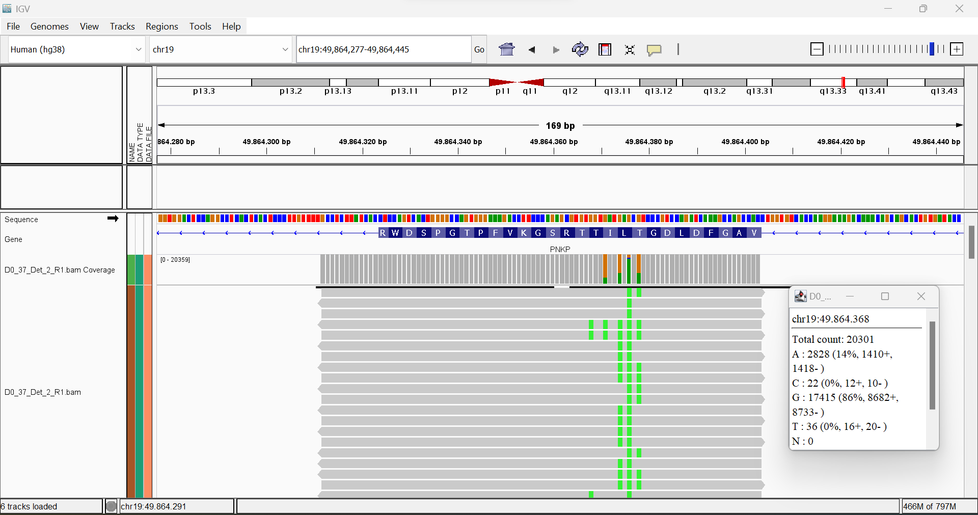 CRISPResso - Alignment with inserts rather with edited alleles by base editor · Issue #330 ...