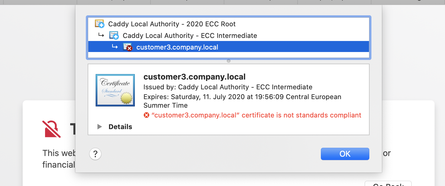 pki.ca.local - failed to install root certificate · Issue #3571 · caddyserver/caddy · GitHub