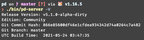 Deleting PD leader key meets error after kill and reboot the pd-server ...