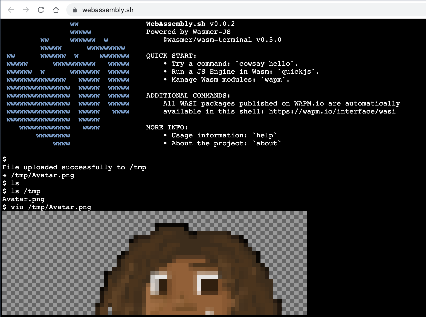 "No such file or directory (os error 44)" · Issue #63 · wasmerio/webassembly.sh · GitHub