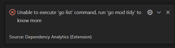 [BUG] Message 'Unable to execute 'go list'' command, run 'go mod tidy' to know more' keeps ...