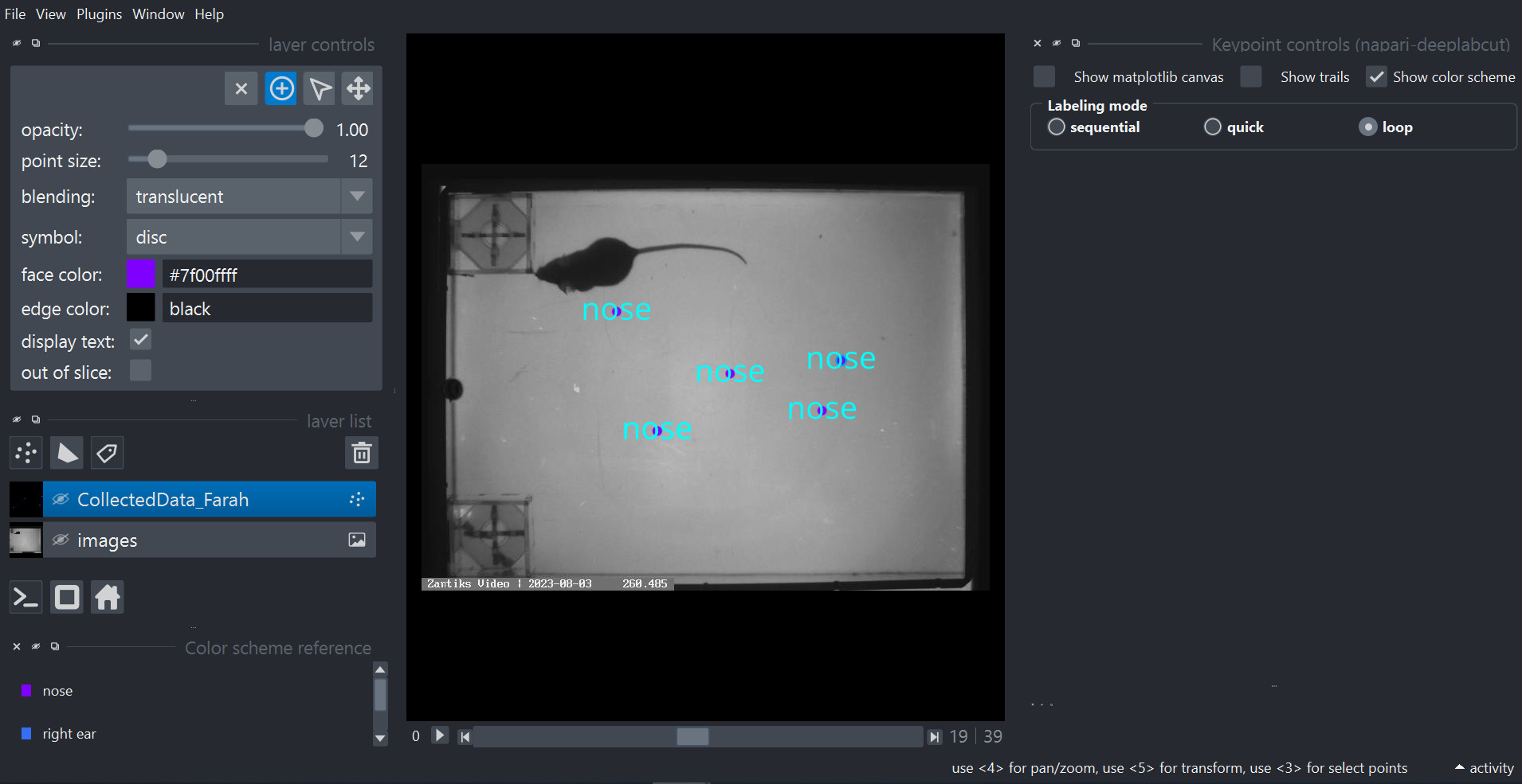 Issue With Labeling Keypoints Dont Switch To Other Bodyparts · Issue