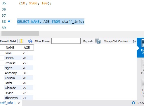 GitHub - Janeamaka94/SQL-TASK-1-AND-2