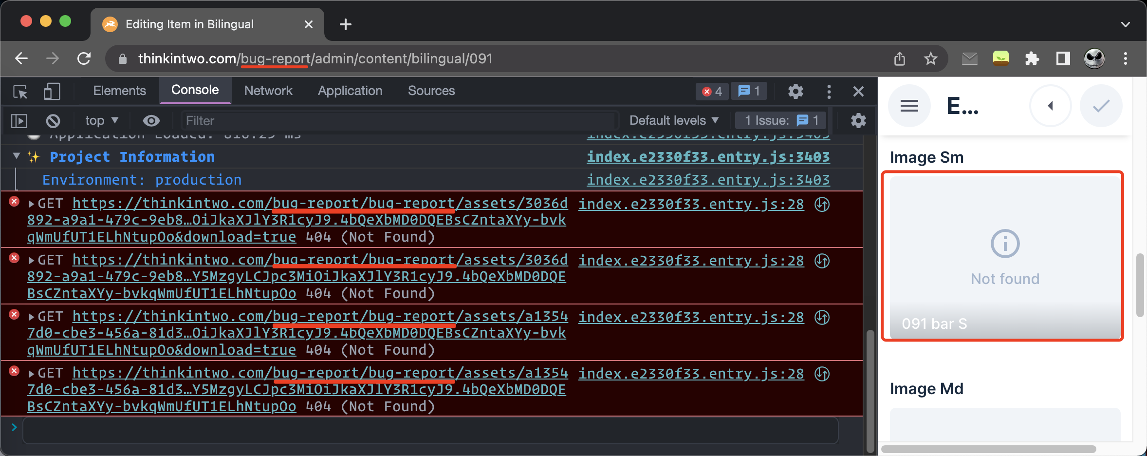 9142 Image Interface No Longer Respects Publicurl · Issue 14678 · Directusdirectus · Github