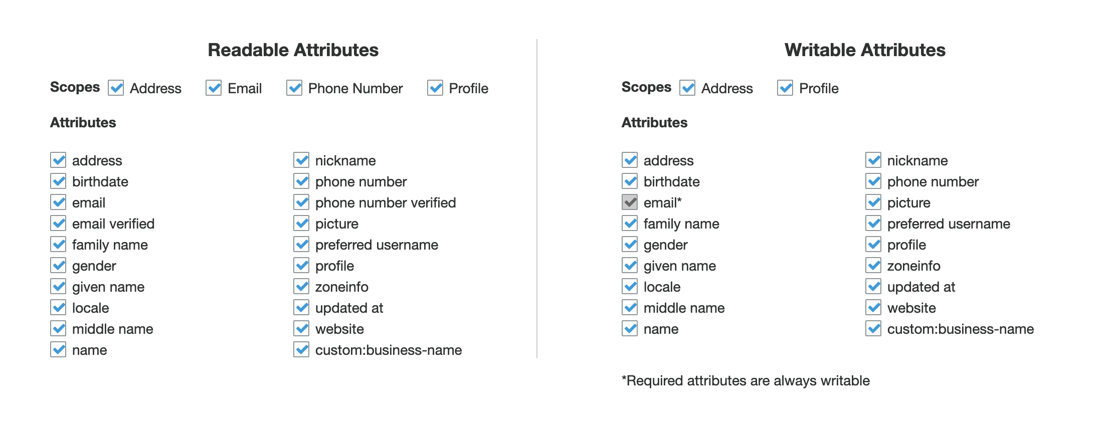 Explicitly Document The Use Custom Attributes With Amplifysignup React Component · Issue 2208