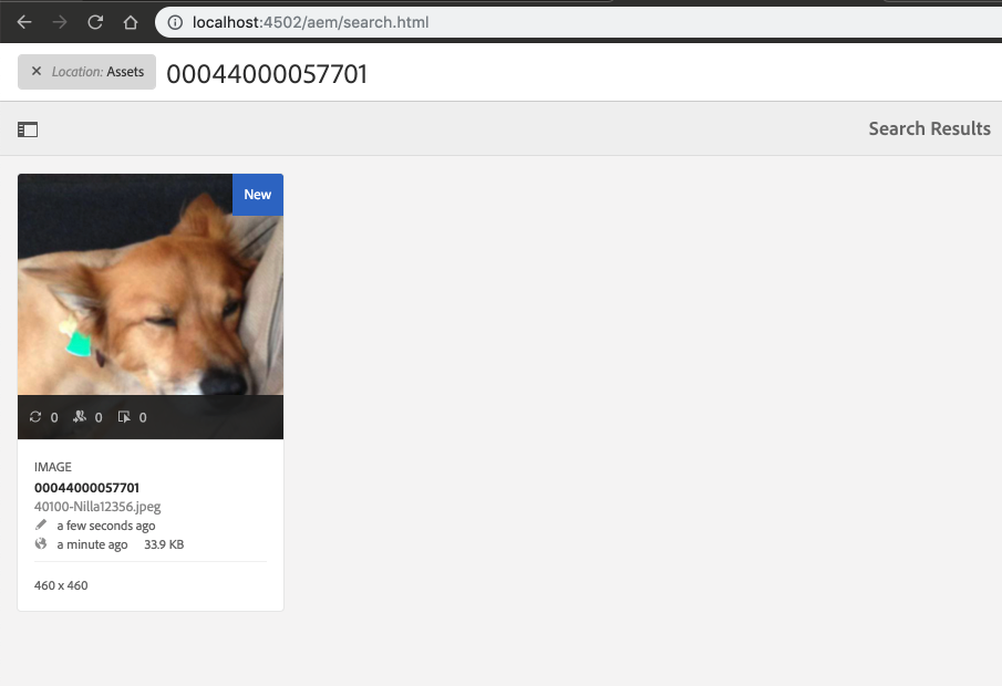 Search bar results not proper with partial and wild card search · Issue ...
