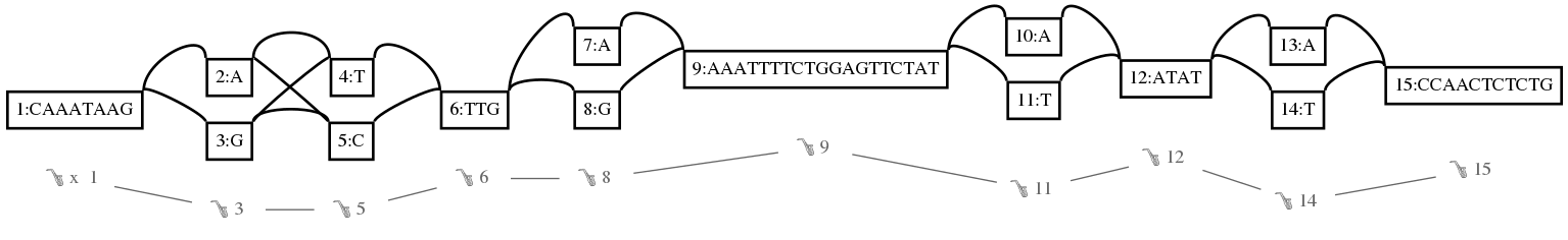 extract exact sequences from the graph · Issue #2281 · vgteam/vg · GitHub