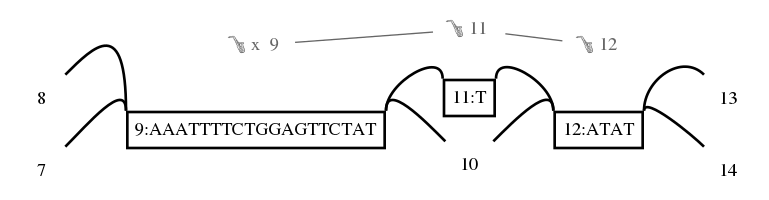 extract exact sequences from the graph · Issue #2281 · vgteam/vg · GitHub