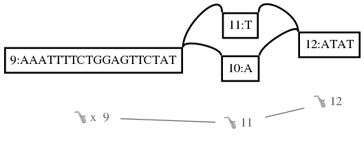 extract exact sequences from the graph · Issue #2281 · vgteam/vg · GitHub
