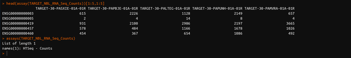 GDCprepare didn't work in TARGET-NBL RNA-Seq counts data · Issue #353 · BioinformaticsFMRP ...