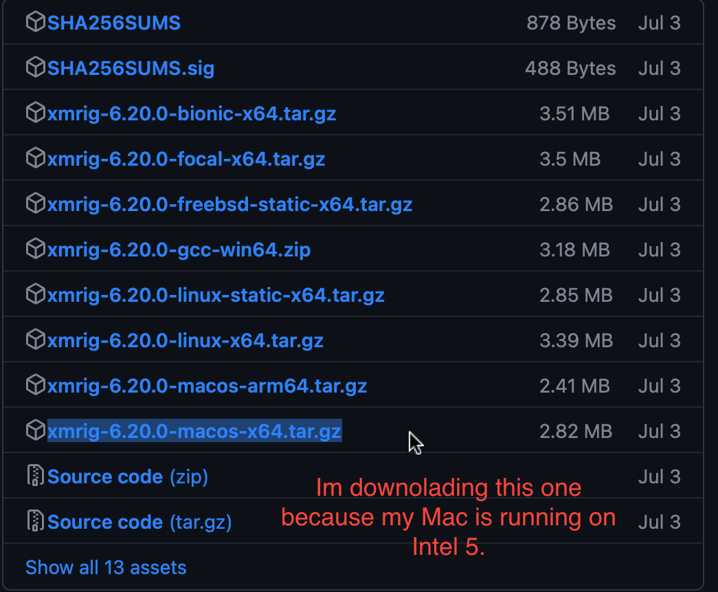 Getting only one file. · Issue #3336 · xmrig/xmrig · GitHub