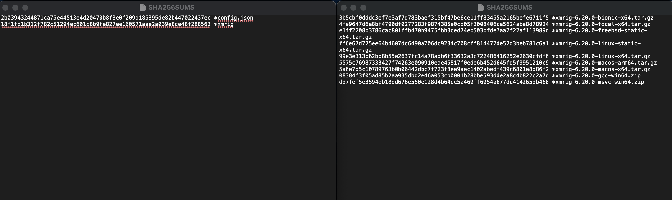 Getting only one file. · Issue #3336 · xmrig/xmrig · GitHub