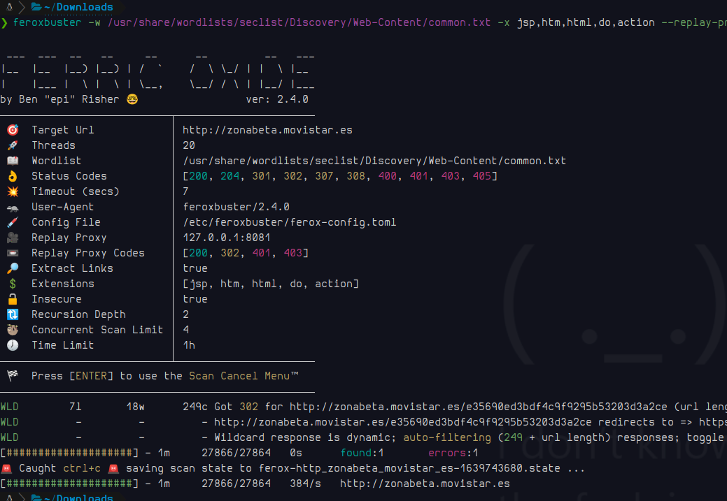 [BUG] · Issue #434 · epi052/feroxbuster · GitHub