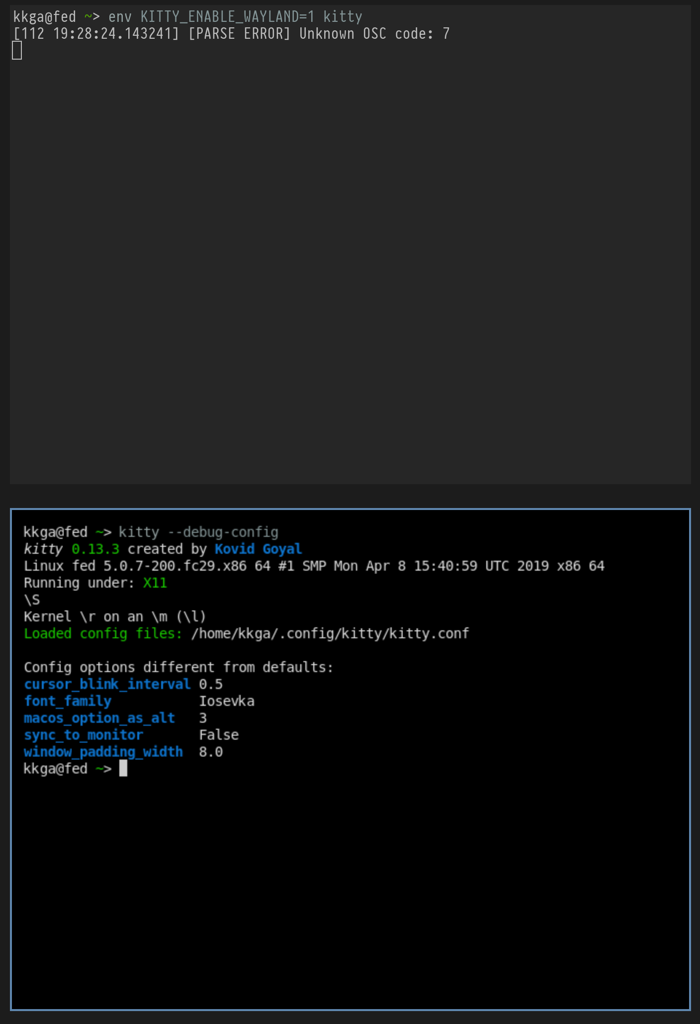 KITTY_ENABLE_WAYLAND=1 still runs on X11 · Issue #1553 · kovidgoyal/kitty · GitHub