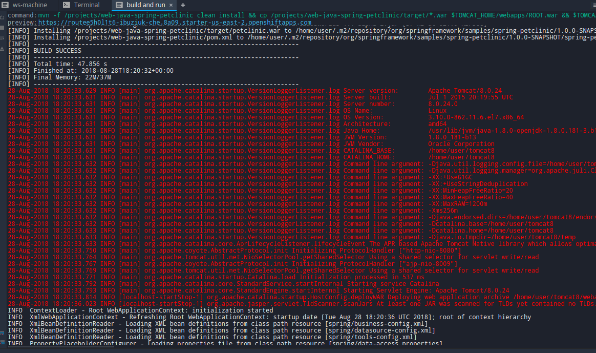 Initial `catalina.sh run` logs for `web-java-spring-petclinic` / `build ...