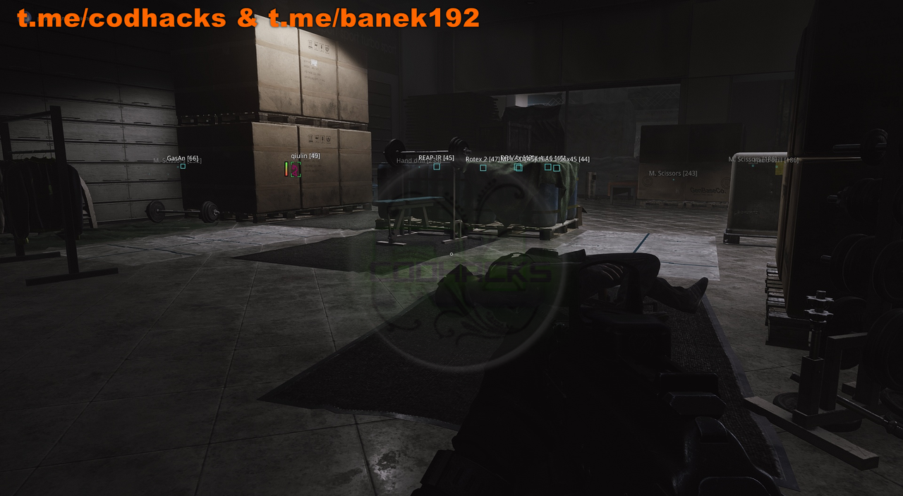 GitHub - patopersonalizados/EFT-Snake-Project