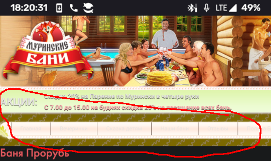 [Broken Website] Insert title here муринские-бани.рф · Issue #4897 · darkreader/darkreader · GitHub