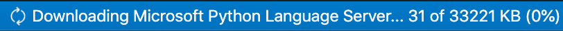 Downloading Microsoft Python Language Server Getting Stuck At 0 