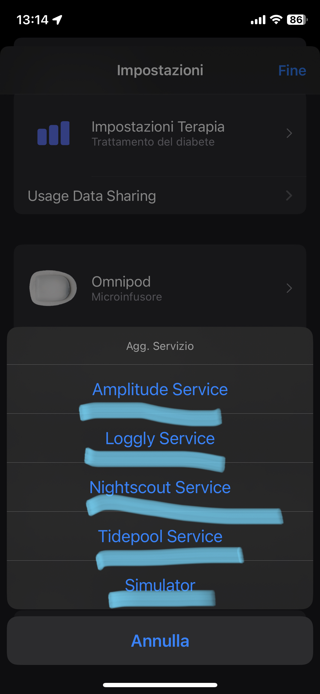 Service Titles Are Not Translated · Issue 1915 · Loopkit Loop · Github