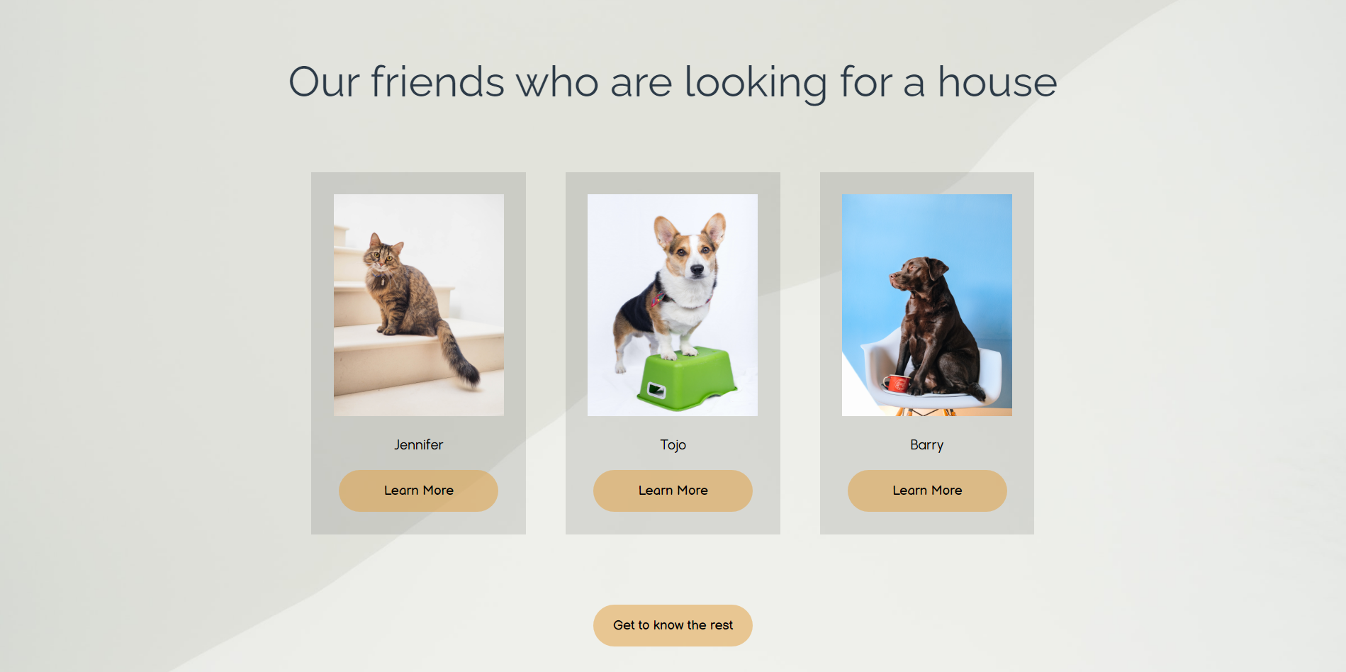 GitHub - Cybernix-Phoenix-NSEC/HF-AnimalShelter