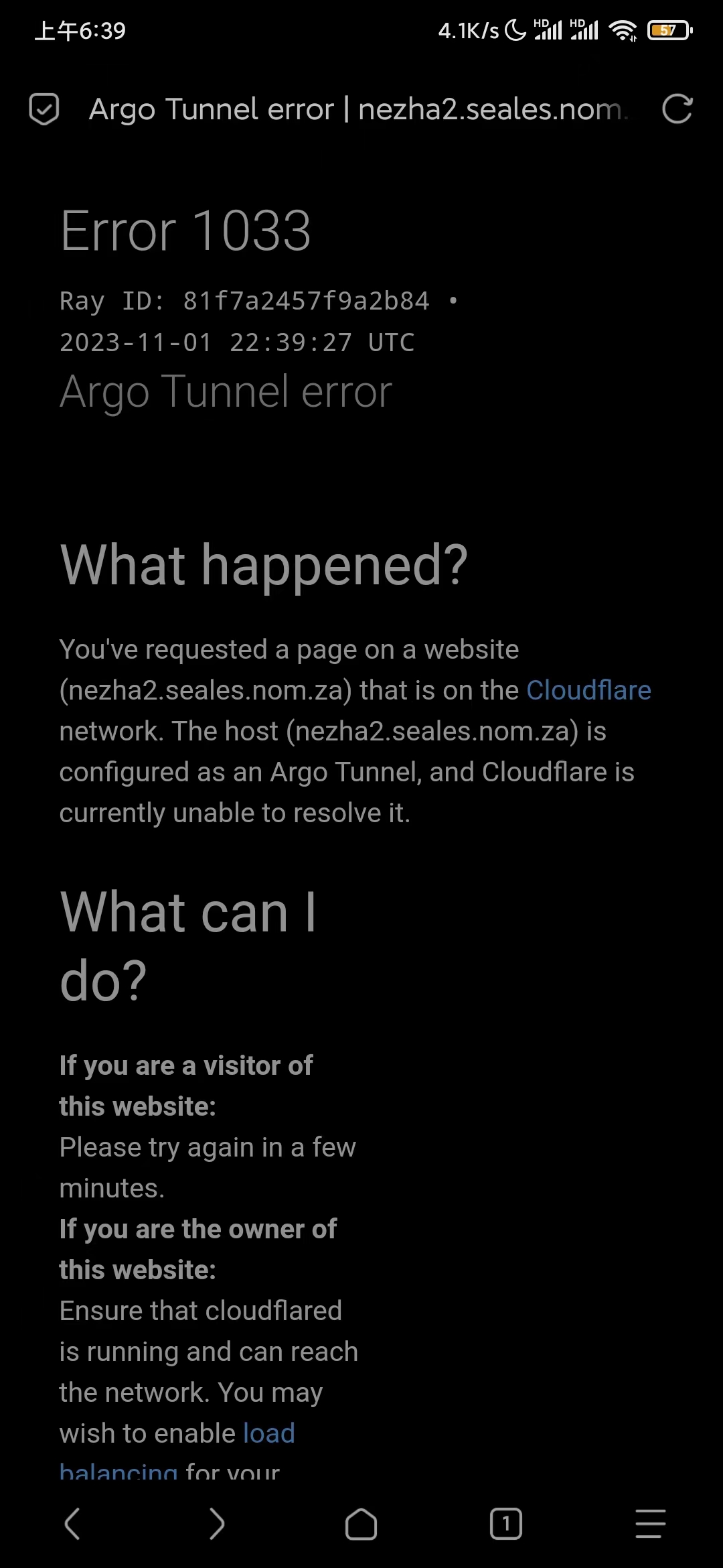 配置总结 · Issue #54 · fscarmen2/Argo-Nezha-Service-Container · GitHub