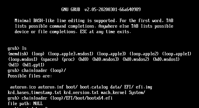 Kaspersky Rescue Disk ISO does not UEFI64 boot · Issue #120 · a1ive/grub2-filemanager · GitHub