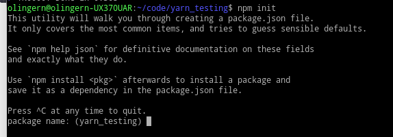 [Bug] Init fails when package.json exists · Issue #165 · yarnpkg/berry · GitHub