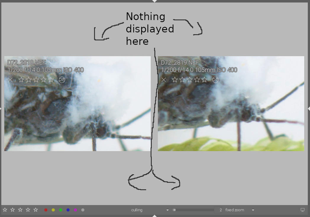Culling mode: use all screen space available when zooming · Issue #4885 ...