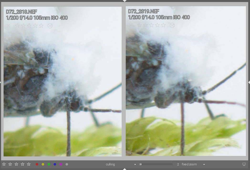 Culling mode: use all screen space available when zooming · Issue #4885 ...