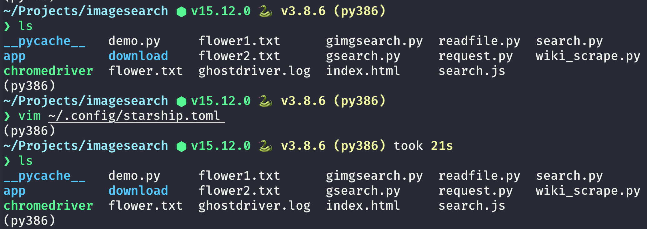 [WARN] - (starship::configs::python): Unknown config key 'scan_for_pyfiles' · starship starship ...
