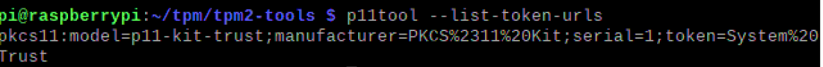 p11tool --list-token-urls not listing infineon token · Issue #765 · tpm2-software/tpm2-pkcs11 ...