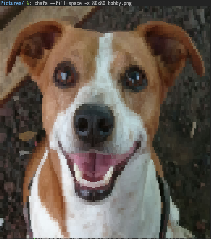 Garbled image previews with many tools · Issue #204 · gokcehan/lf · GitHub