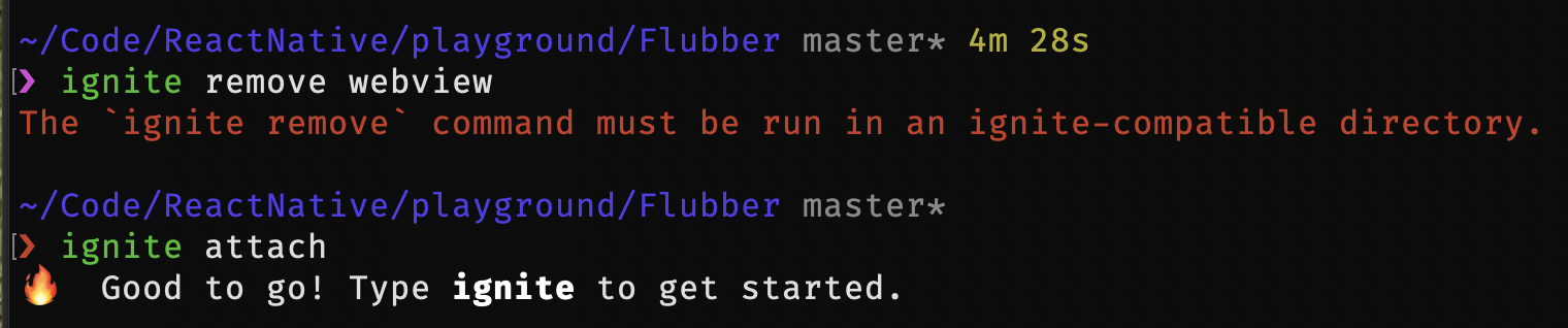 Ignite add/remove -- better error · Issue #1338 · infinitered/ignite · GitHub
