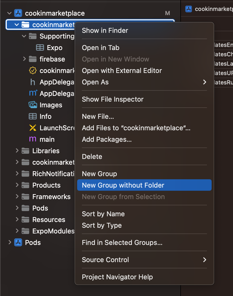 ios app crashed after installing expo-updates · Issue #22409 · expo ...