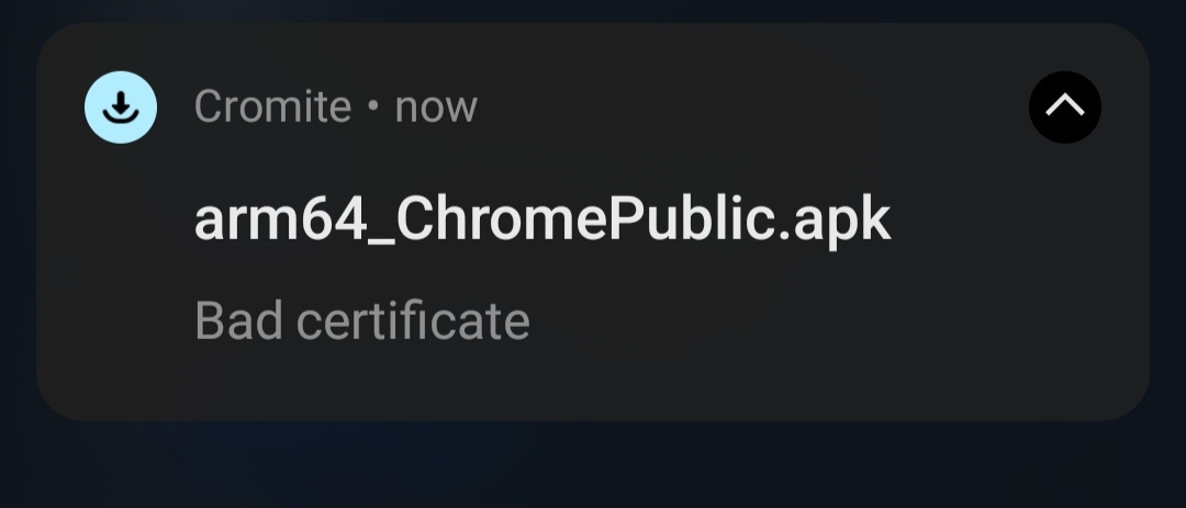 bad certificate error when using DNS · Issue #416 · uazo/cromite · GitHub