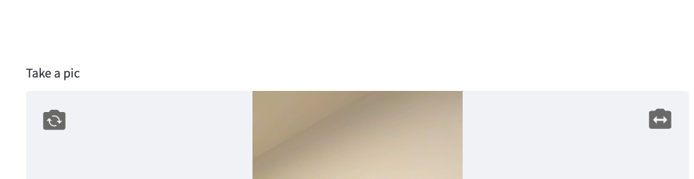 Ability to flip st.camera_input preview horizontally · Issue #4449 · streamlit/streamlit · GitHub