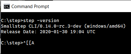 step.exe breaks Windows 10 console control key functionality · Issue #227 · smallstep/cli · GitHub