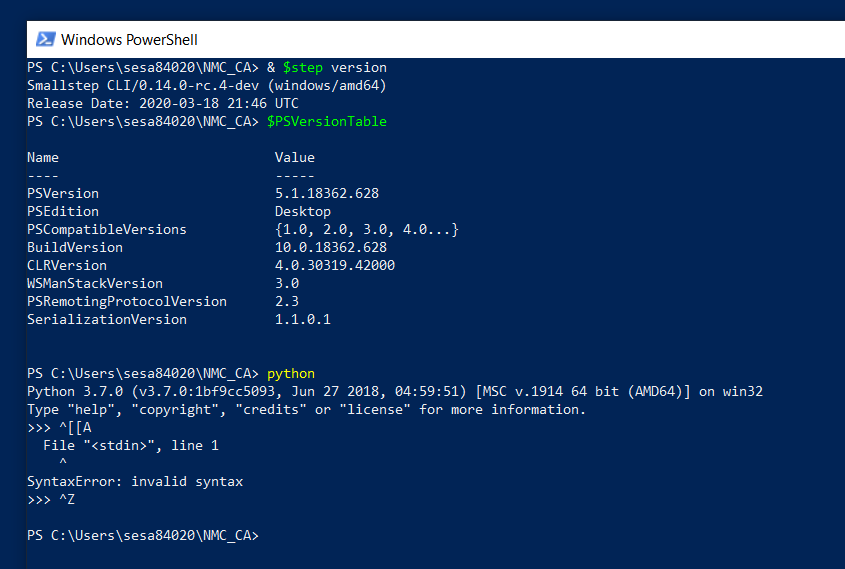 step.exe breaks Windows 10 console control key functionality · Issue #227 · smallstep/cli · GitHub