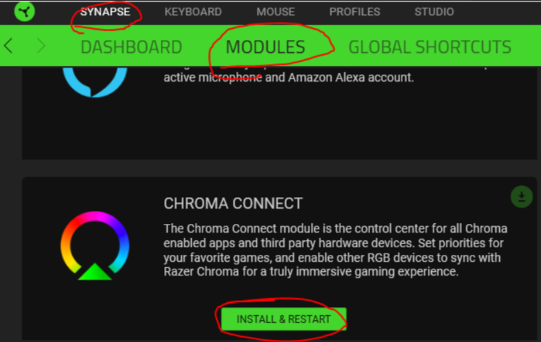 Can't make it work · Issue #5 · razerofficial/ChromaEmulator · GitHub
