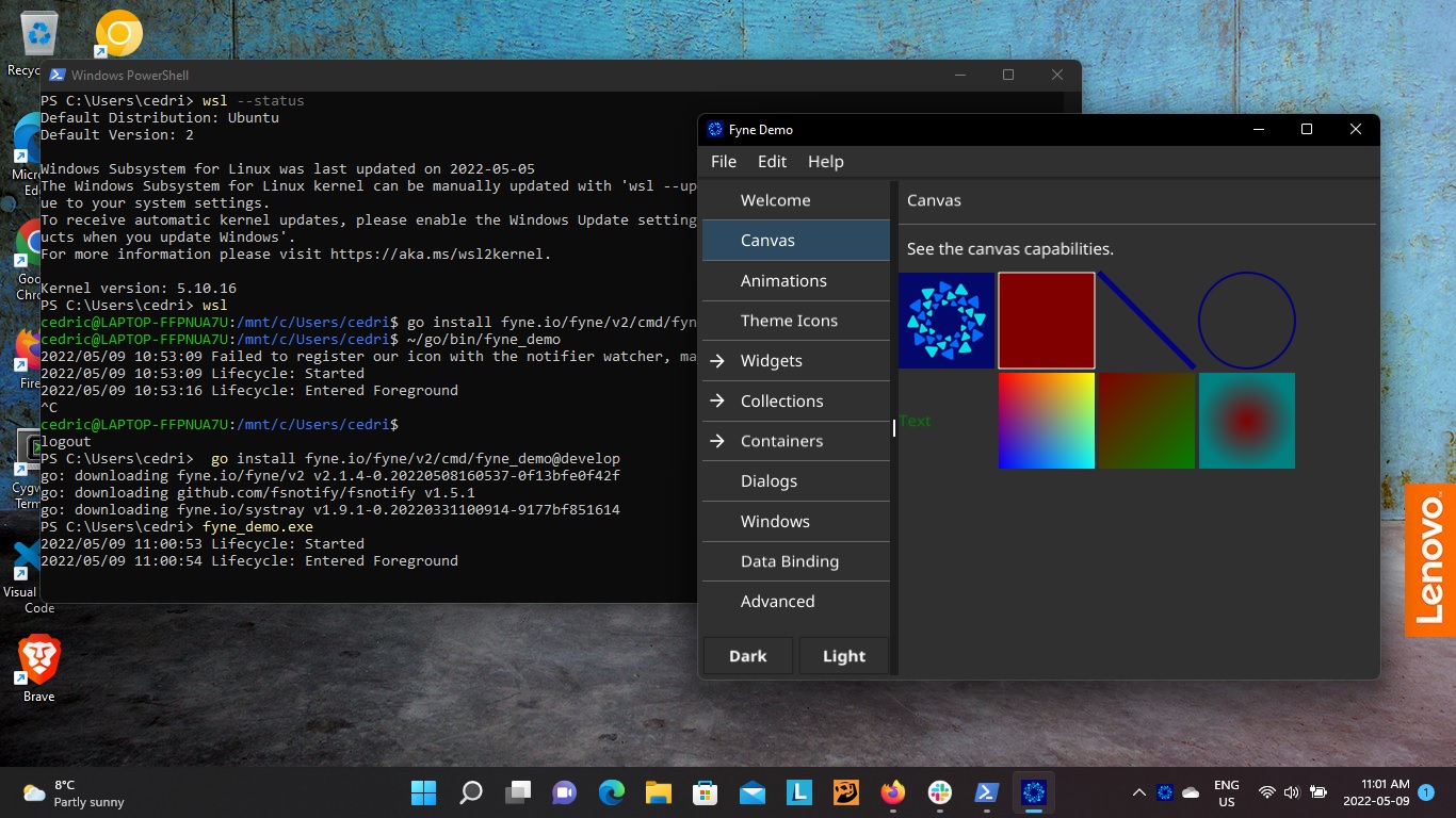 Strange artefact in fyne GL application when using wslg · Issue #735 ...