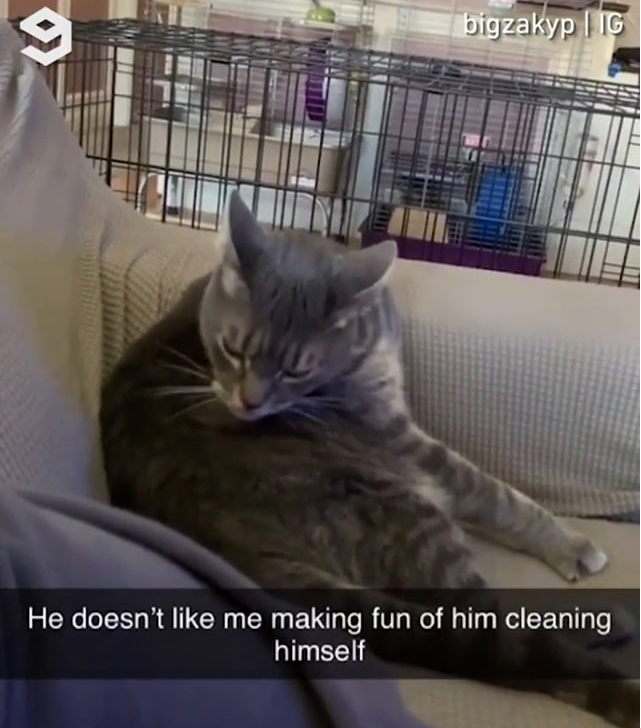 请问看图说话的测试效果如何？ · Issue #1 · biuping/ChatBot · GitHub