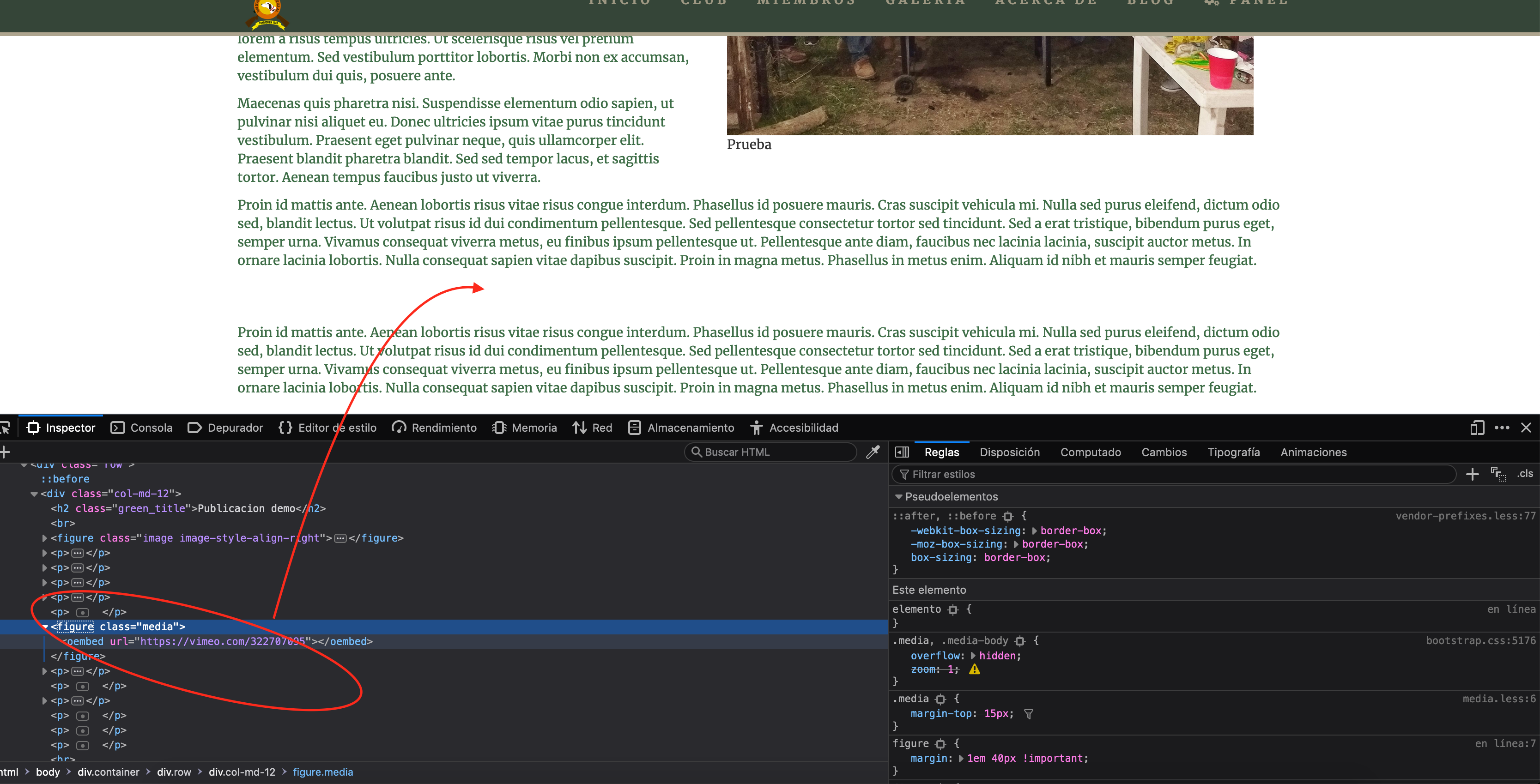 Hi · Issue #4493 · ckeditor/ckeditor5 · GitHub