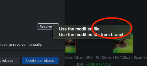 Base branch not displayed for resolving conflicts when dialog opens mid-rebase · Issue #8113 ...