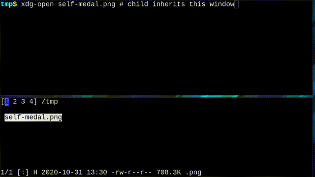 Children processes are decoupled from the owner shell · Issue #770 · jarun/nnn · GitHub