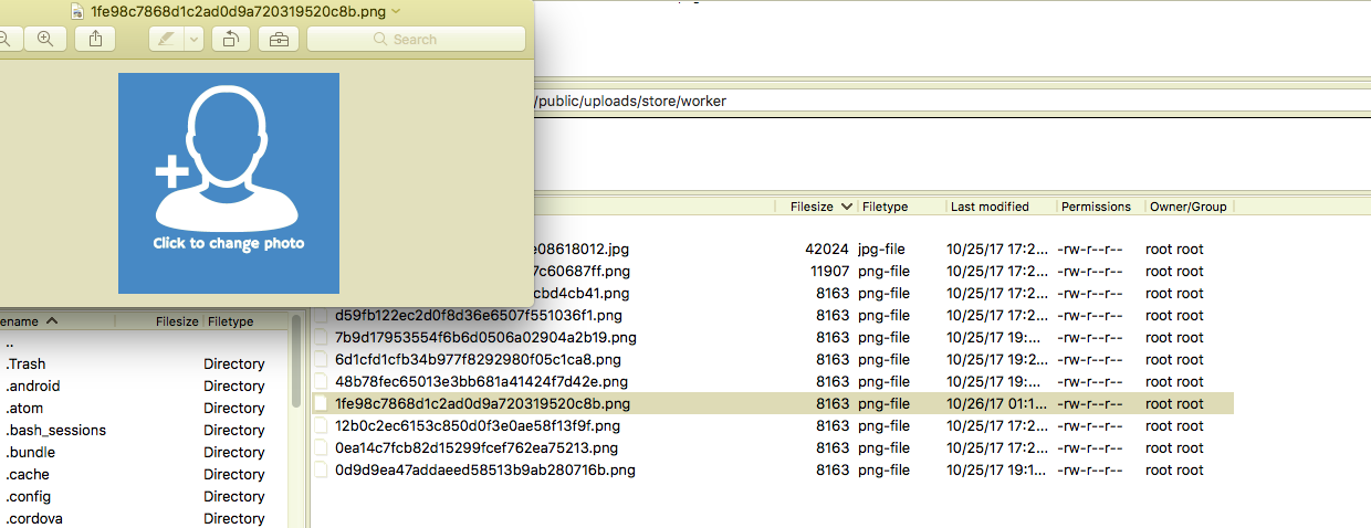 Error uploading file when in daemon mode · Issue #188 · shrinerb/shrine · GitHub