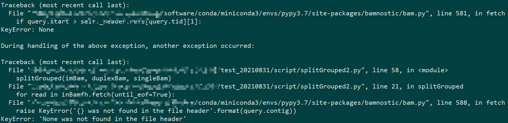 an error when read bam · Issue #47 · betteridiot/bamnostic · GitHub